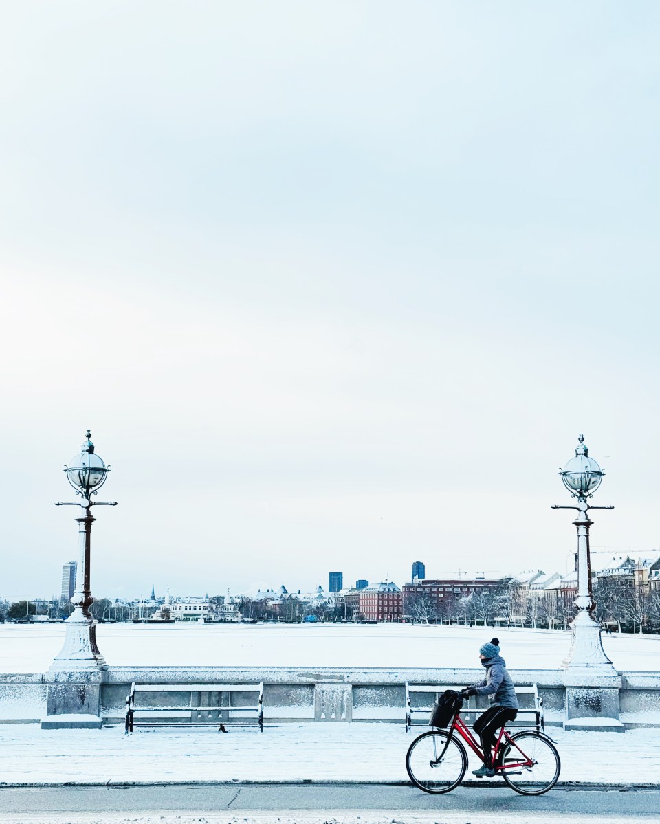 UGE 50: Svedsken på disken – Den Røde